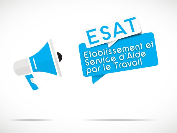 Comment déclarer en DSN les travailleurs handicapés relevant d’un ESAT ...